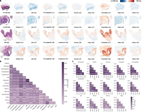 Figure 4 From Benchmarking Foundation Models As Feature Extractors For