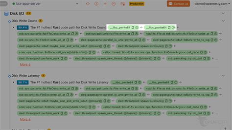 Pinpointing The Hottest Rust Code Paths With High Disk I O Using OpenResty XRay OpenResty