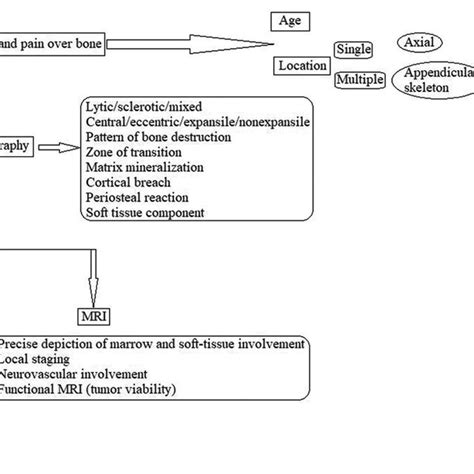 An Algorithm For The Radiological Diagnosis Of Bone Tumors Download