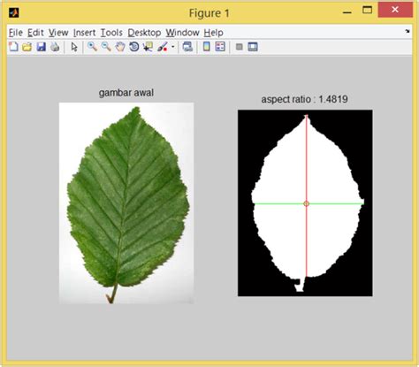 Leaf Shape Based Plant Species Recognition Softscients