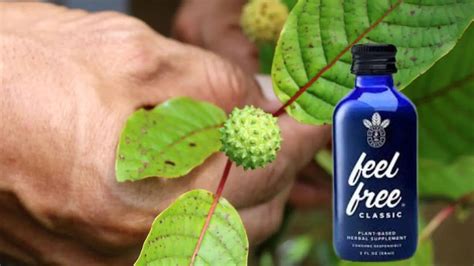 What Are Kratom And Kava The Controversial Ingredients In ‘feel Free