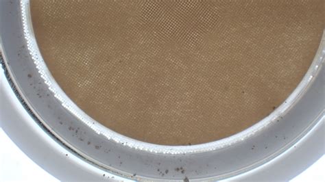 Sample Overloading Identifying And Addressing Issues