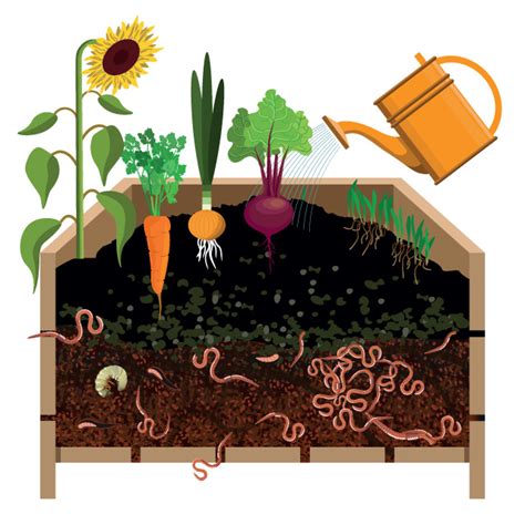 Composting At Ncmns Programs And Events Calendar
