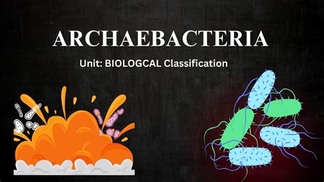 Archaebacteria Unit Biological Classification Youtube