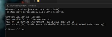 Confusion With Java Rmcserversoft