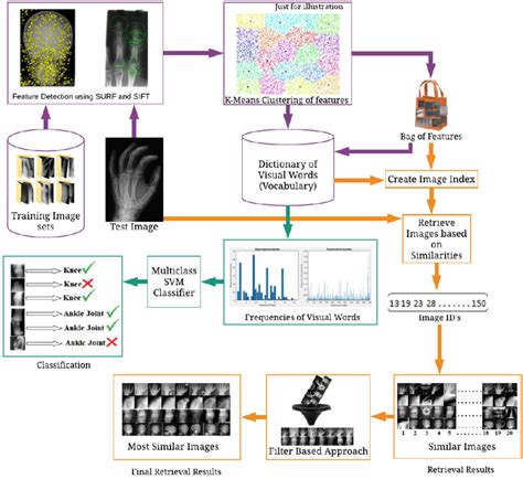 Proposed Framework For X Ray Content Based Medical Image Retrieval See
