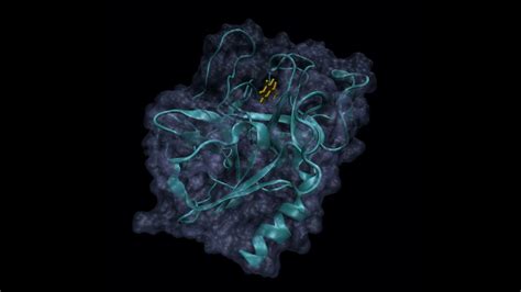 Running Autodock Vina Through Chimera Supplement To Another Tutorial Linked In Description