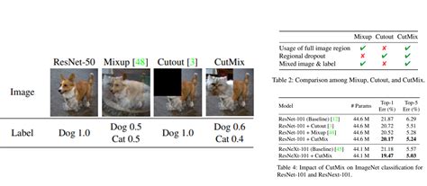 image data augmentation overview