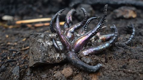 Panama Meteorite Grows Alien Like Tentacles Space Rock Grows