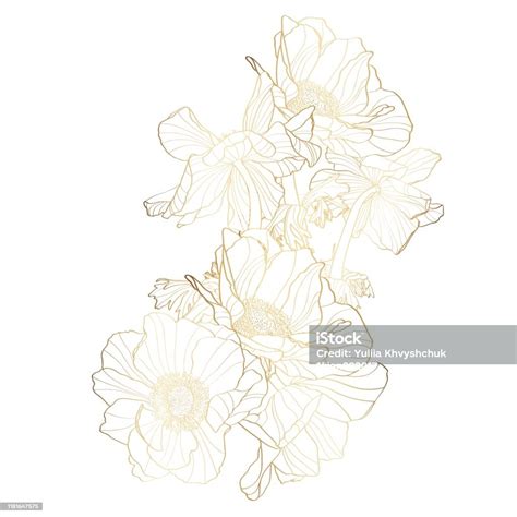 손으로 그린 여름 황금 꽃다발 소박한 말미잘 라인 아트 디자인에 대 한 흰색 배경에 고립 된 손으로 그린 꽃 고풍스런에 대한 스톡 벡터 아트 및 기타 이미지 Istock