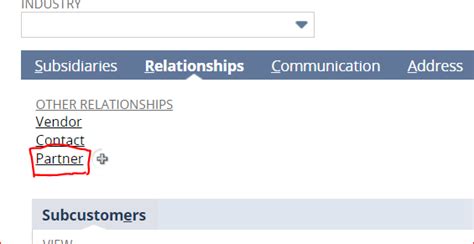 How To Achieve Entity Relationship In Netsuite