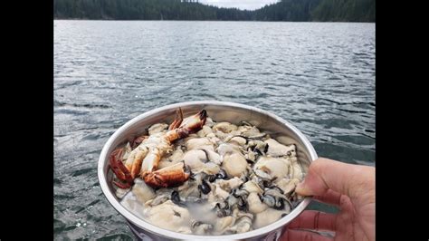 로얄엔필드 히말라얀 2박3일 아일랜드 오토바이 여행인지 요트 여행인지 4편 Motorcycle Trip To