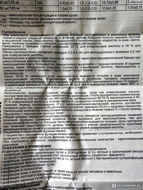 Амоксициллин для кошек - инструкция по применению препарата