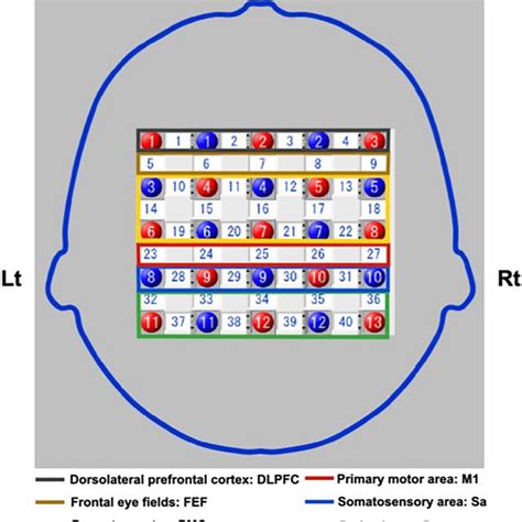 Region Of Interest Using The Functional Near Infrared Spectroscopy The Download Scientific