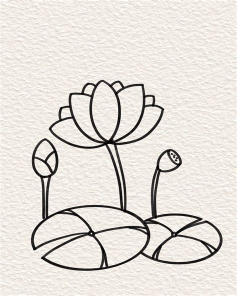 荷花怎么画简笔画图片 好看又可爱的画法 苗苗知道