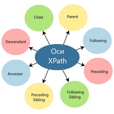 Xpath — быстрый гайд