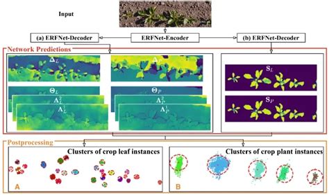 Visual Instance Segmentation Of Leaves And Plants For In Field Plant Phenotyping — Institut Für