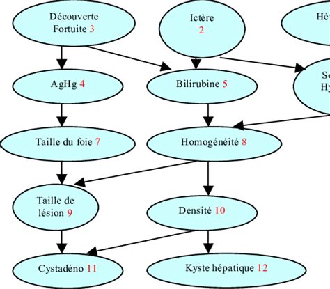 Example Of Bayesian Network With Two Kinds Of Pathologies Liver
