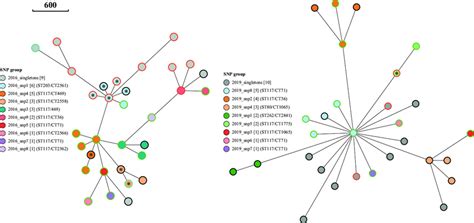 Visual Comparison Of Vancomycin Resistant Enterococcus Faecium Vrefm Download Scientific