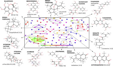 Structure Activity Relationship Sar Correlation Of Canonical Smiles