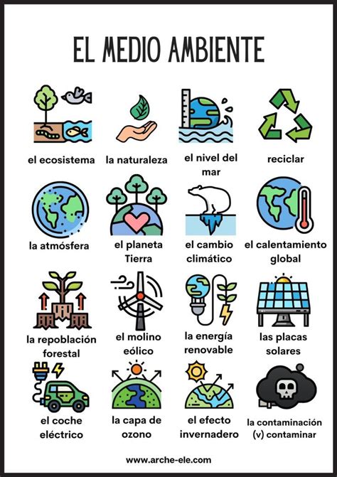 El Medio Ambiente Vocabulario Español Palabras En Español Aprender