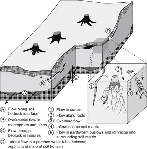 Subsurface Secrets Unveiled Preferential Flow Reshapes Water And Energy Futures Agritech Insights