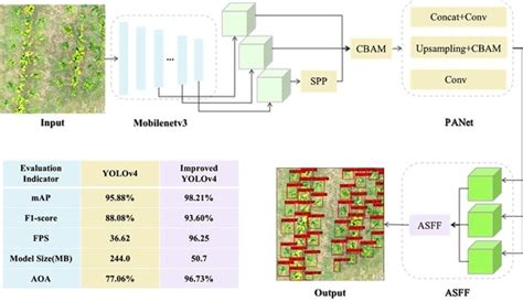 Remote Sensing Free Full Text Rapid Target Detection Of Fruit Trees Using Uav Imaging And
