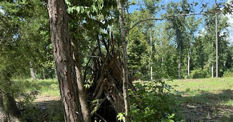 Odd Structure Found And Other Items ~ The Crypto Crew