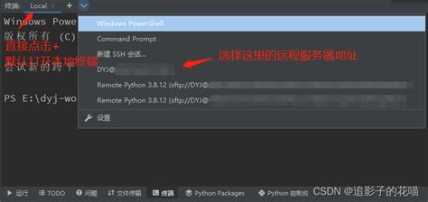 Python程序含配置参数在linux服务器终端运行方法及问题解决linux Python服务部署、启动 Csdn博客