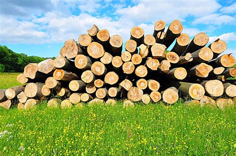 Lumbermill Background Images Hd Pictures And Wallpaper For Free