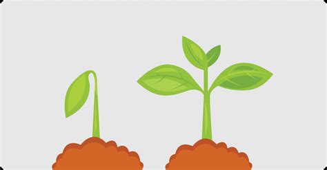 Llm Vs Generative Ai Whats The Difference