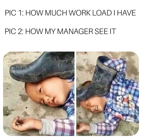 Mainframe Memes Mainframe Bug