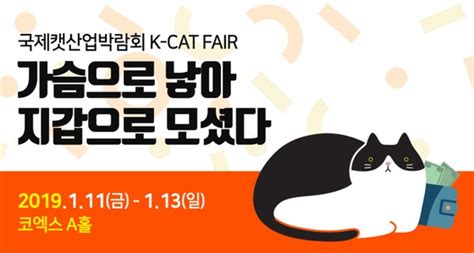 고양이박람회 2019케이캣페어 코엑스서 개최