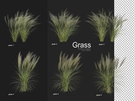 Premium Psd Various Types Of Grass Rendering