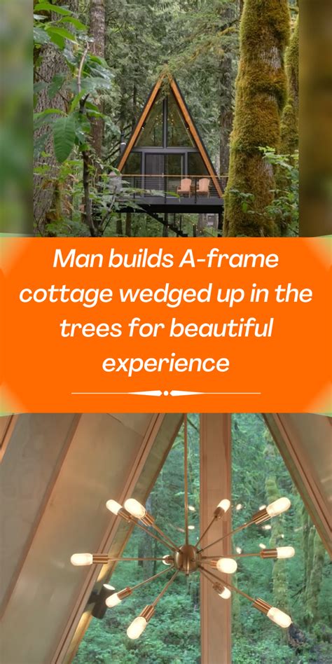 Man Builds A Frame Cottage Wedged Up In The Trees And It Melds Beautifully With Surroundings