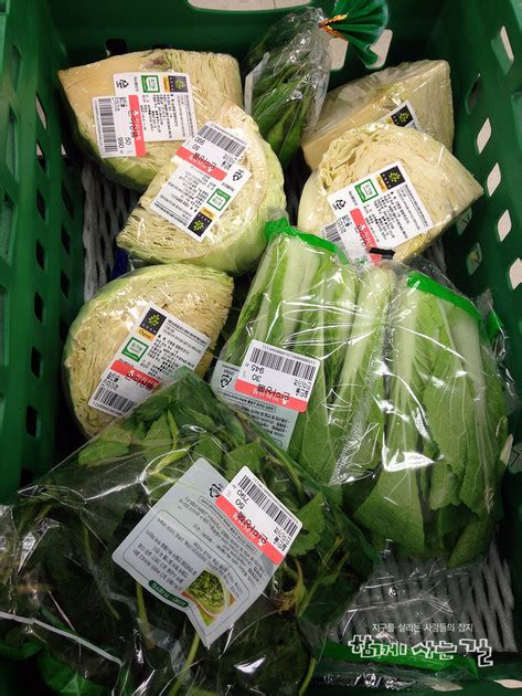 버릴까 먹을까” 음식과 쓰레기 사이에서 에코뷰 생활환경