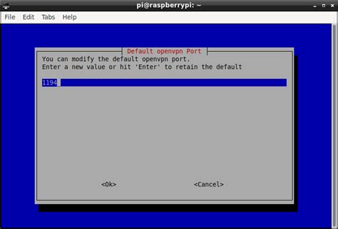 raspberry pi vpn server with pivpn