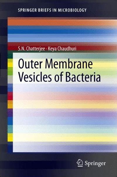 Outer Membrane Vesicles Of Bacteria Poche S N Chatterjee Achat Livre Ou Ebook Fnac