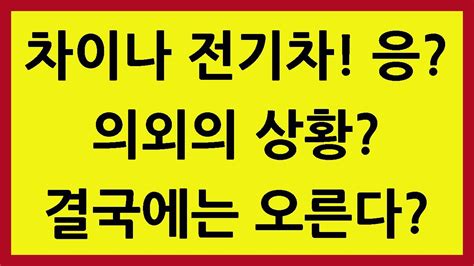 차이나 전기차 Solactive 주가 전망 타이거 Tiger Etf 레버리지 중국 2차전지 배터리 주식 장기 투자 장투 단타 구성 종목 결국에는 오른다 Youtube