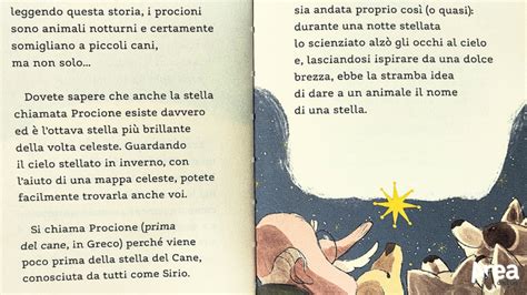 Stella Procione Area Ets