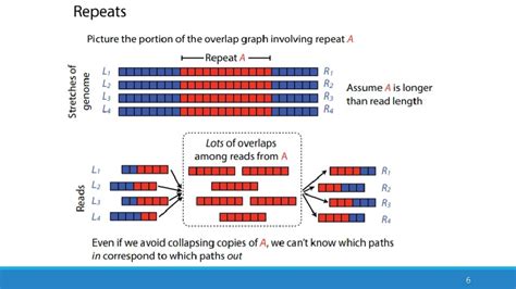 An Eulerian Path Approach To Dna Fragment Assembly
