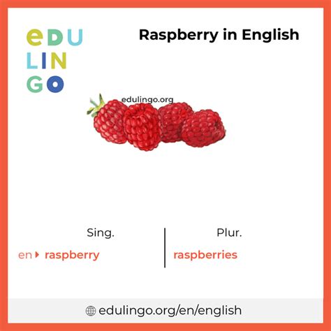 Raspberry In English • Writing And Pronunciation With Pictures