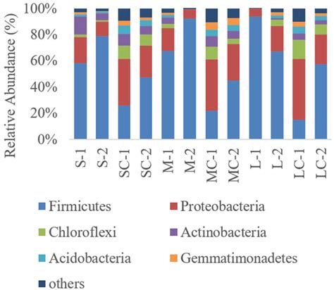 The Main Bacteria In Soil Samples And Bacterial Community Relative Download Scientific Diagram