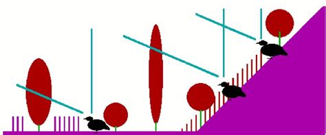Model Of Escape Behaviour In Different Habitats Download Scientific