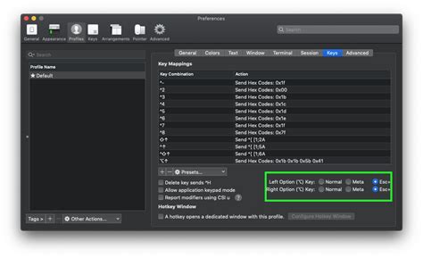 Support Using Option Key On Macos For Escape Codes · Issue 127764
