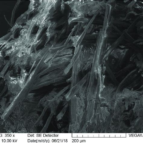 Sem Micrographs Of Cryo Fractured Surfaces Of The Pp Flax Composites Download Scientific