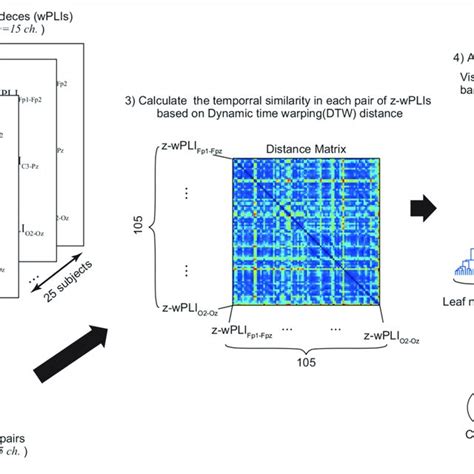 Estimation Of Functional Connectivity First We Computed The Download Scientific Diagram