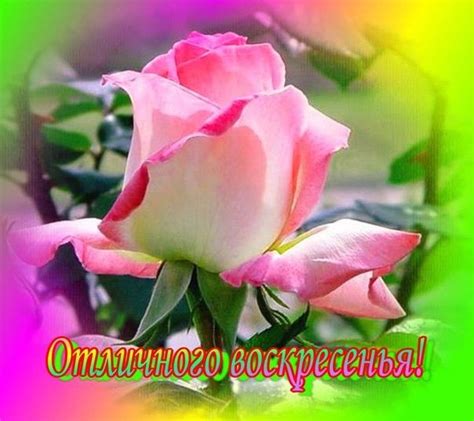 Замечательного воскресенья картинки