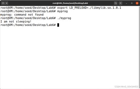 网络攻防实验6：环境变量与set Uid实验环境变量和setuid实验 Csdn博客