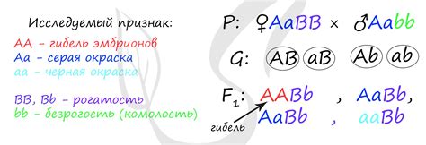 Окраска шерсти у овец контролируется геном который в гетерозиготном состоянии обусловливает